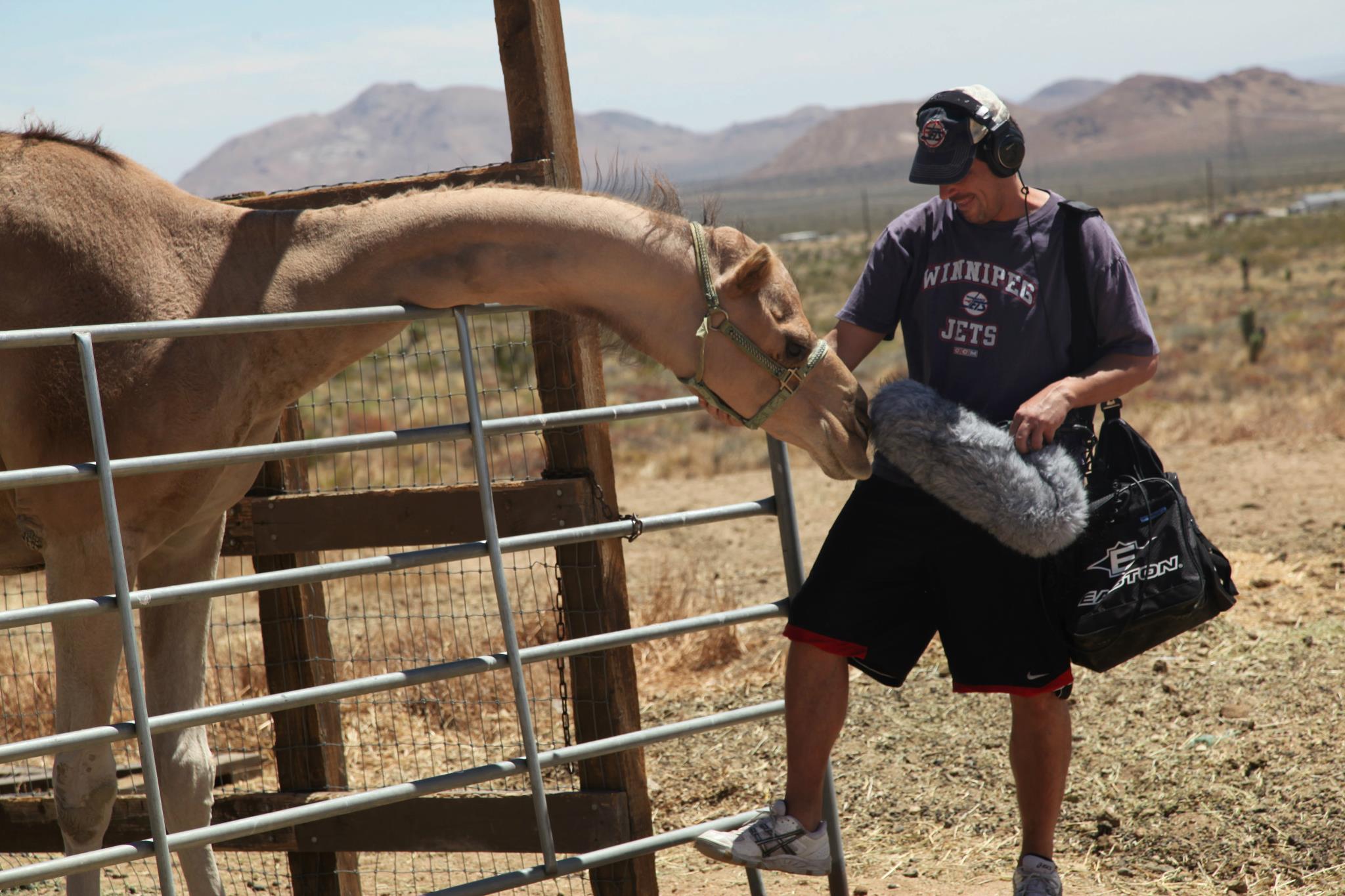 SoundFX | Universal Production Music